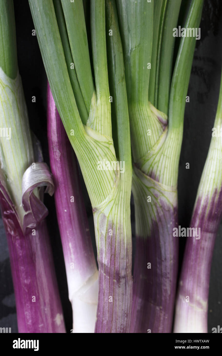 Onion stalks hi-res stock photography and images - Alamy