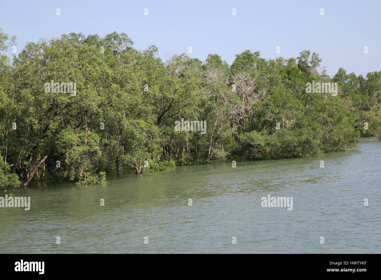 Salt filtration system hi-res stock photography and images - Alamy