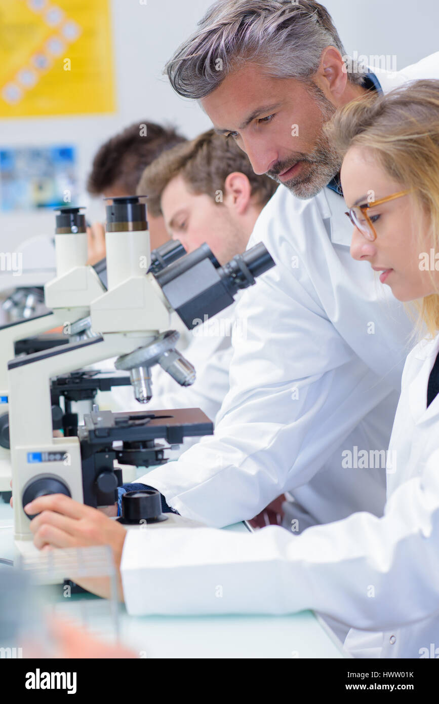 Students working with microscopes Stock Photo - Alamy
