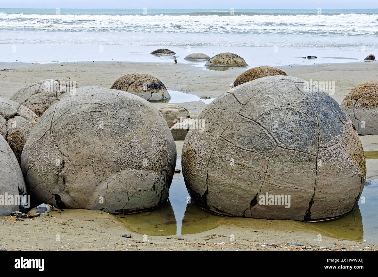 Moeraki Boulders are large, spherical boulders lying on the Koekohe ...