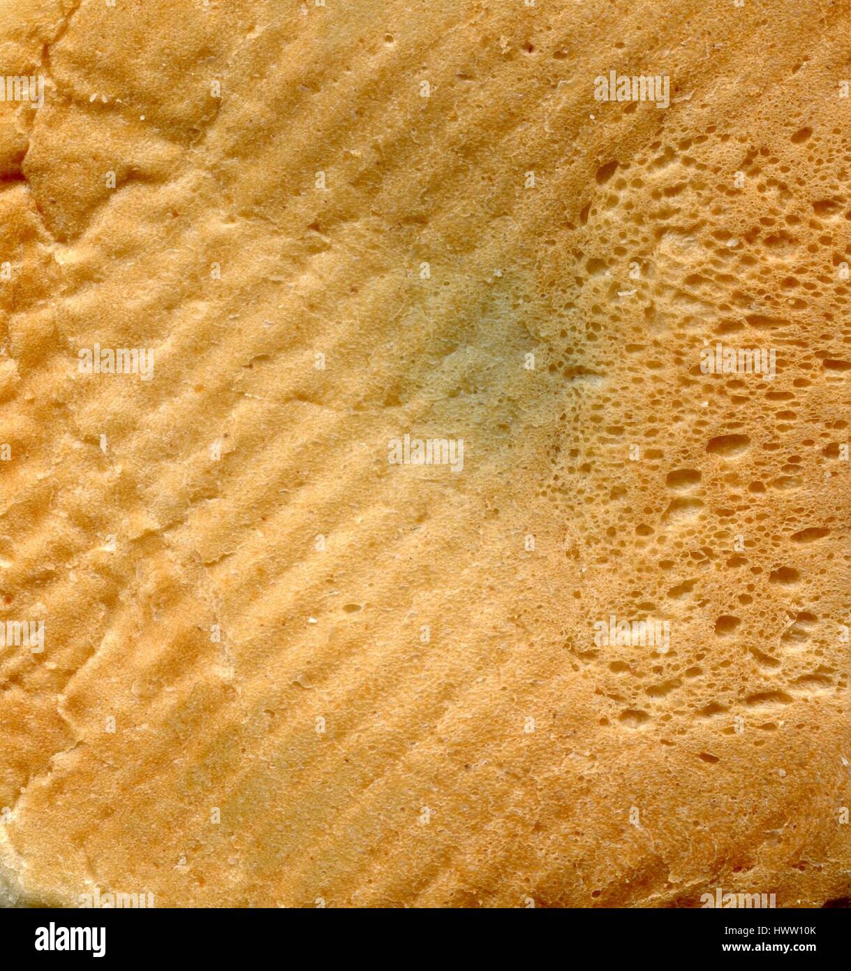 Texture background of a white bread crust Stock Photo - Alamy