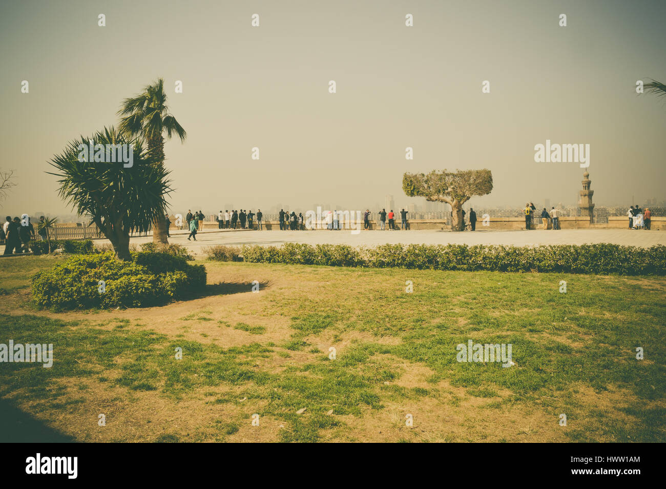 Cairo forest hi-res stock photography and images - Alamy