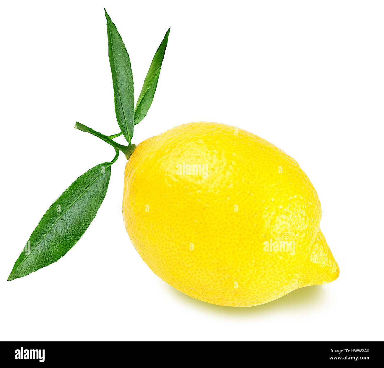 Fresh lemon isolated on white background Stock Photo - Alamy
