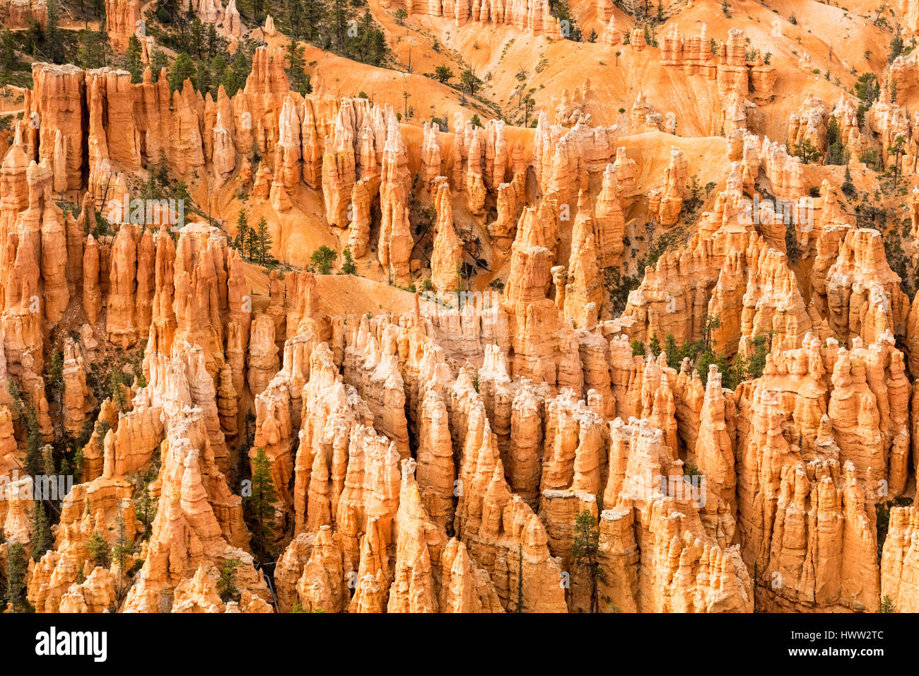 USA, Utah, Bryce Canyon National Park, hoodoos in amphitheater as seen ...