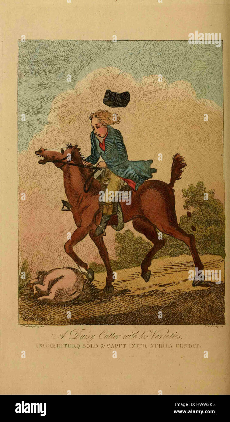 The 'Annals of Horsemanship' is a historical account of the practice ...