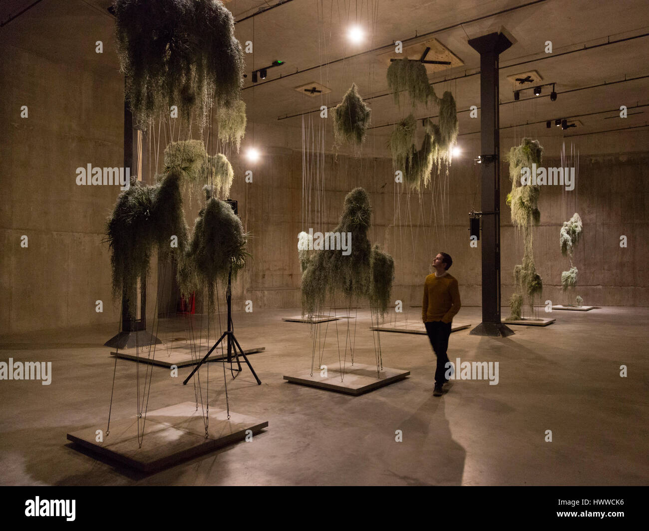 Tanks Tate Modern In London High Resolution Stock Photography and ...