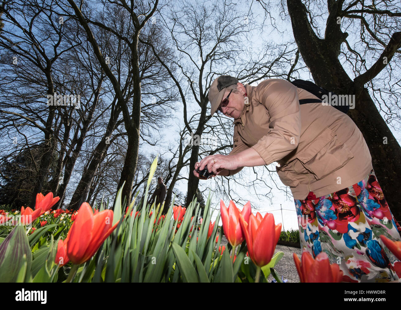 Mainau island, Germany. 23rd March 2017. Dora Eppli from Switzerland is ...