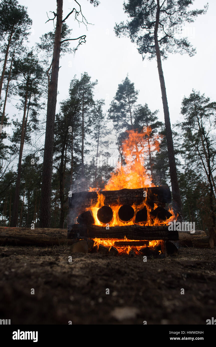 Baerenthoren, Germany. 21st Mar, 2017. A bonfire burns in a forest near ...