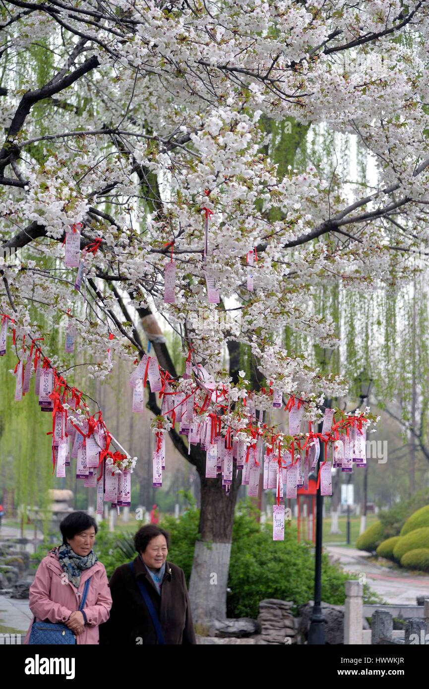 Jinan, China's Shandong Province. 24th Mar, 2017. Tourists walk under ...