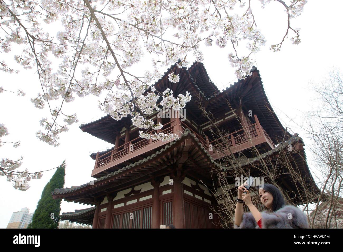 Qinglong temple hi-res stock photography and images - Alamy