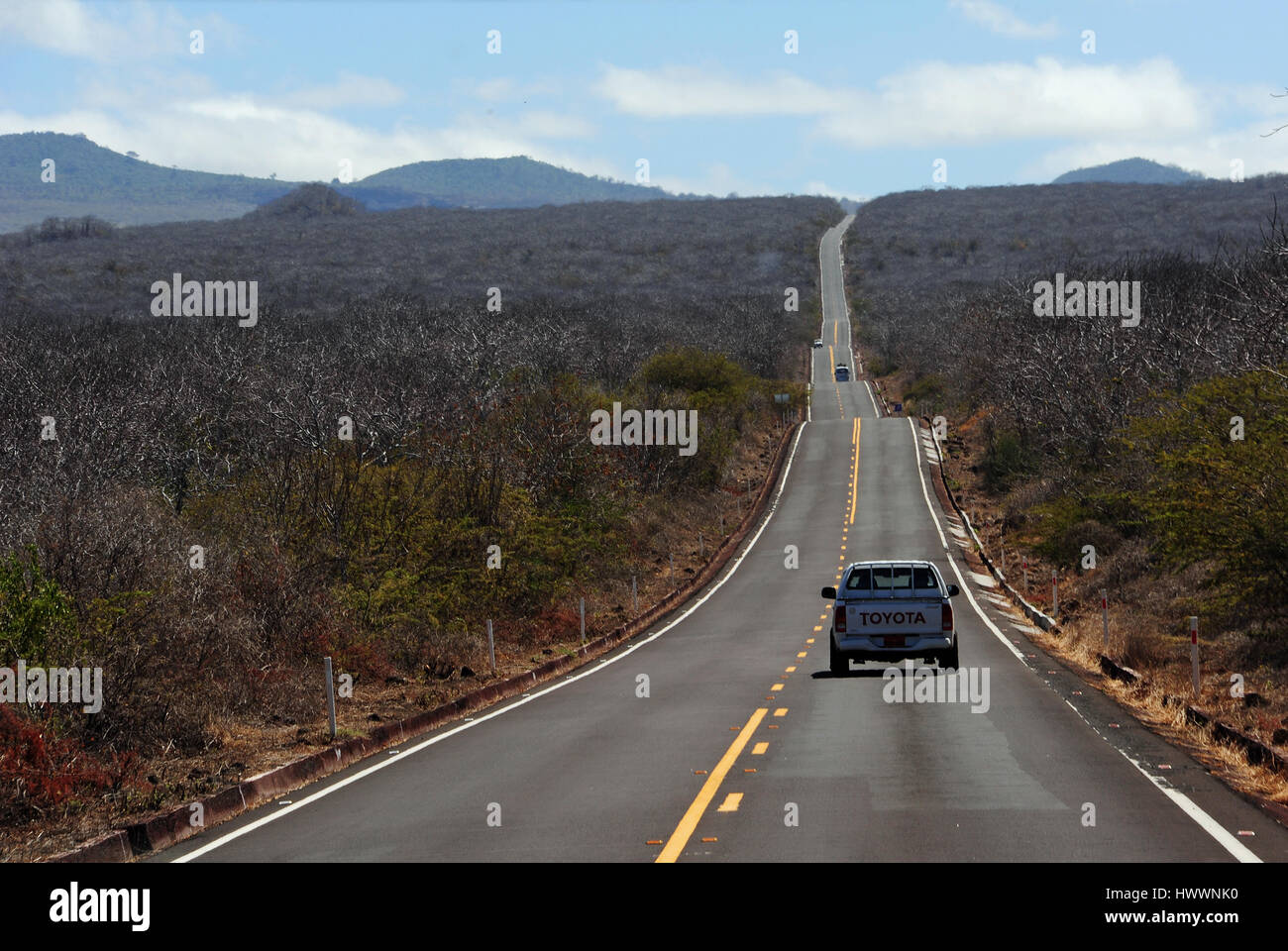 Out and about in the green highlands of the Galapagos Archipelago ...