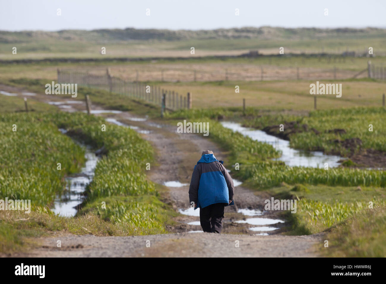 Crofter walking down croft track/ road , to his crofting land ...