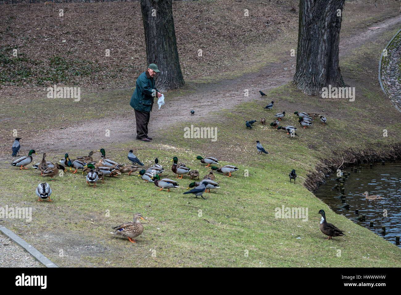 Old man feeding hi-res stock photography and images - Alamy