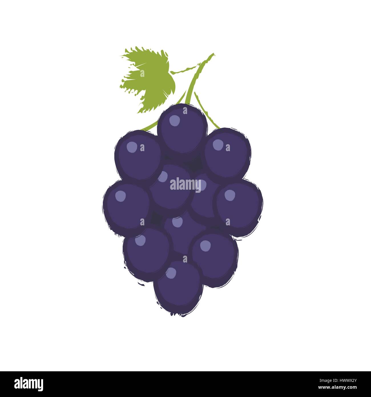 Bunche of grape Stock Vector Image & Art - Alamy