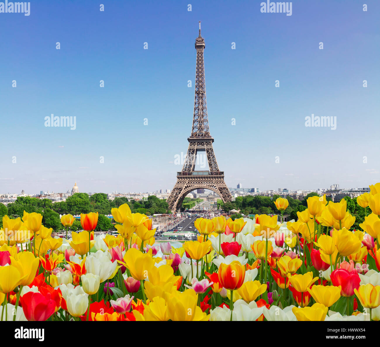 Eiffel Tower and Paris cityscape Stock Photo - Alamy