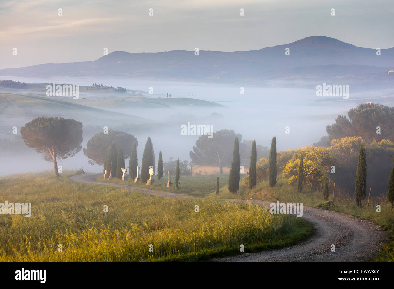 Misty morning in Tuscany valley Stock Photo - Alamy