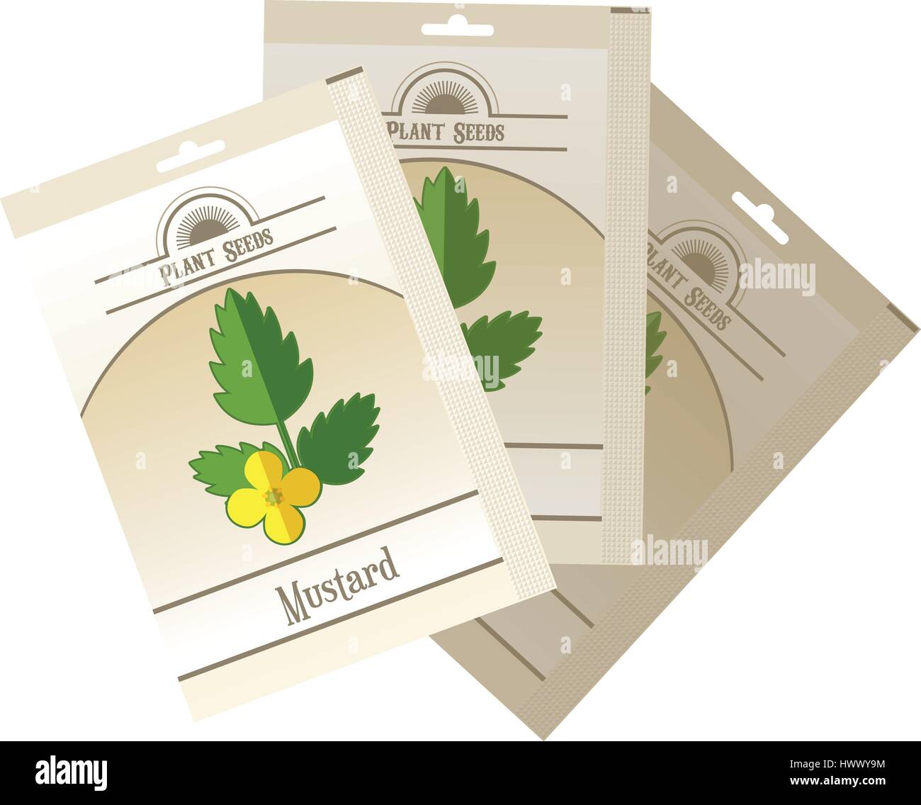 Mustard oil seeds flower Stock Vector Images - Alamy