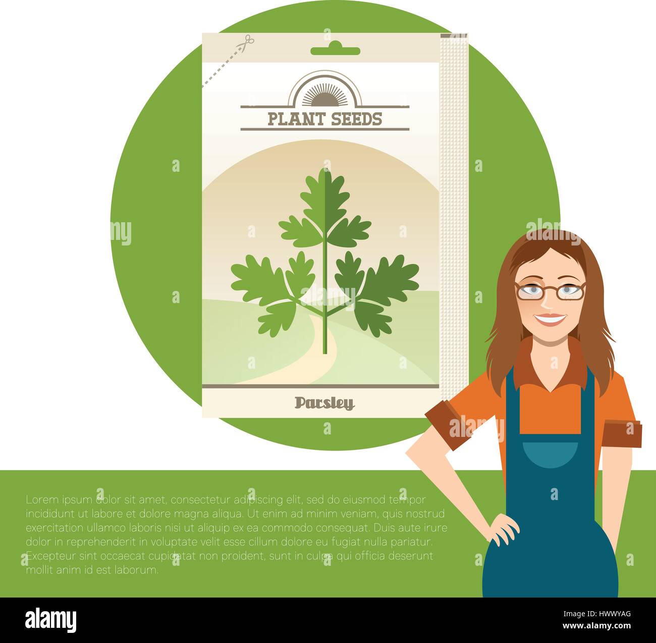 Garden parsley plant Stock Vector Images - Alamy