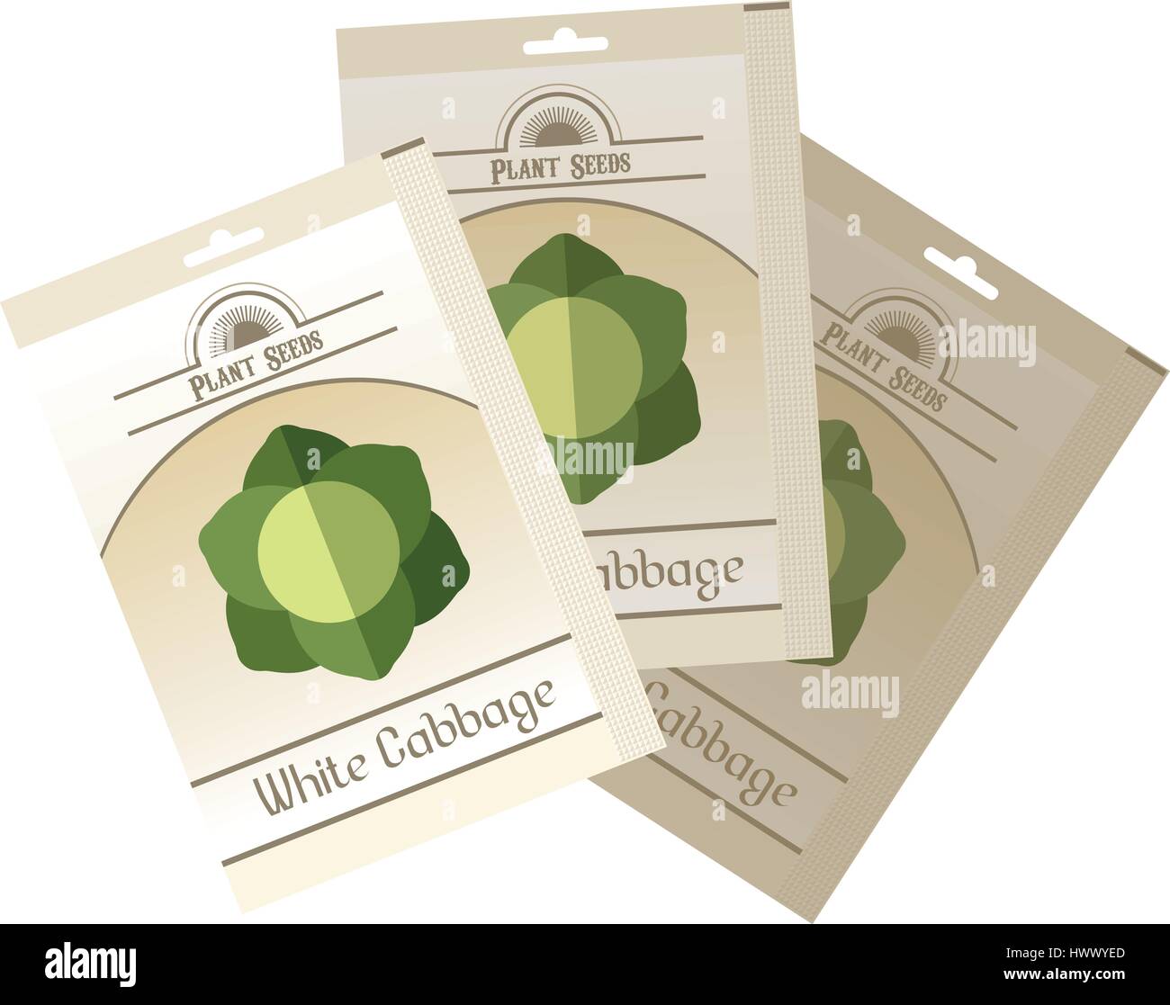 Pack of White Cabbage seeds Stock Vector Image & Art - Alamy