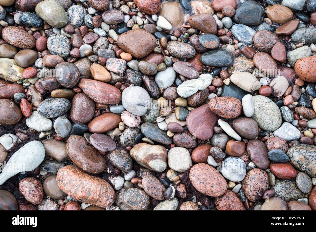 small pebble rock background texture at the beach Stock Photo - Alamy