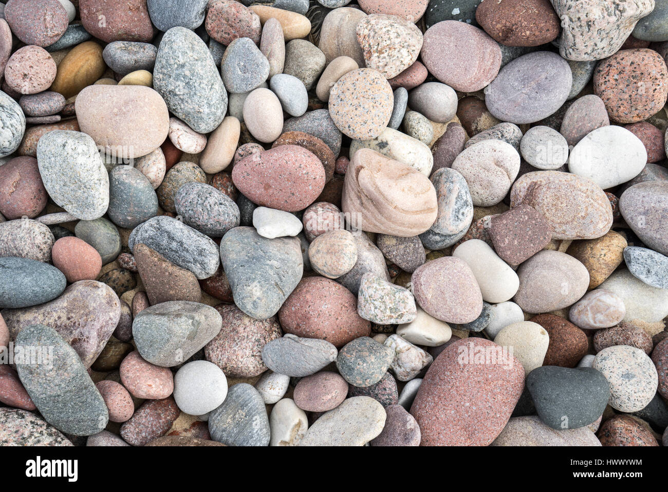 small pebble rock background texture at the beach Stock Photo - Alamy