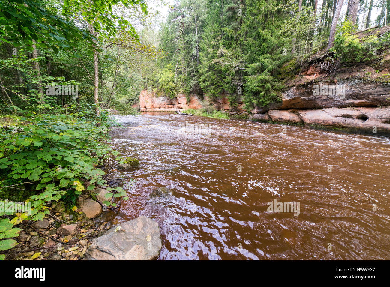 Mountain river with Flowing Water Stream and sandstone cliffs Stock ...