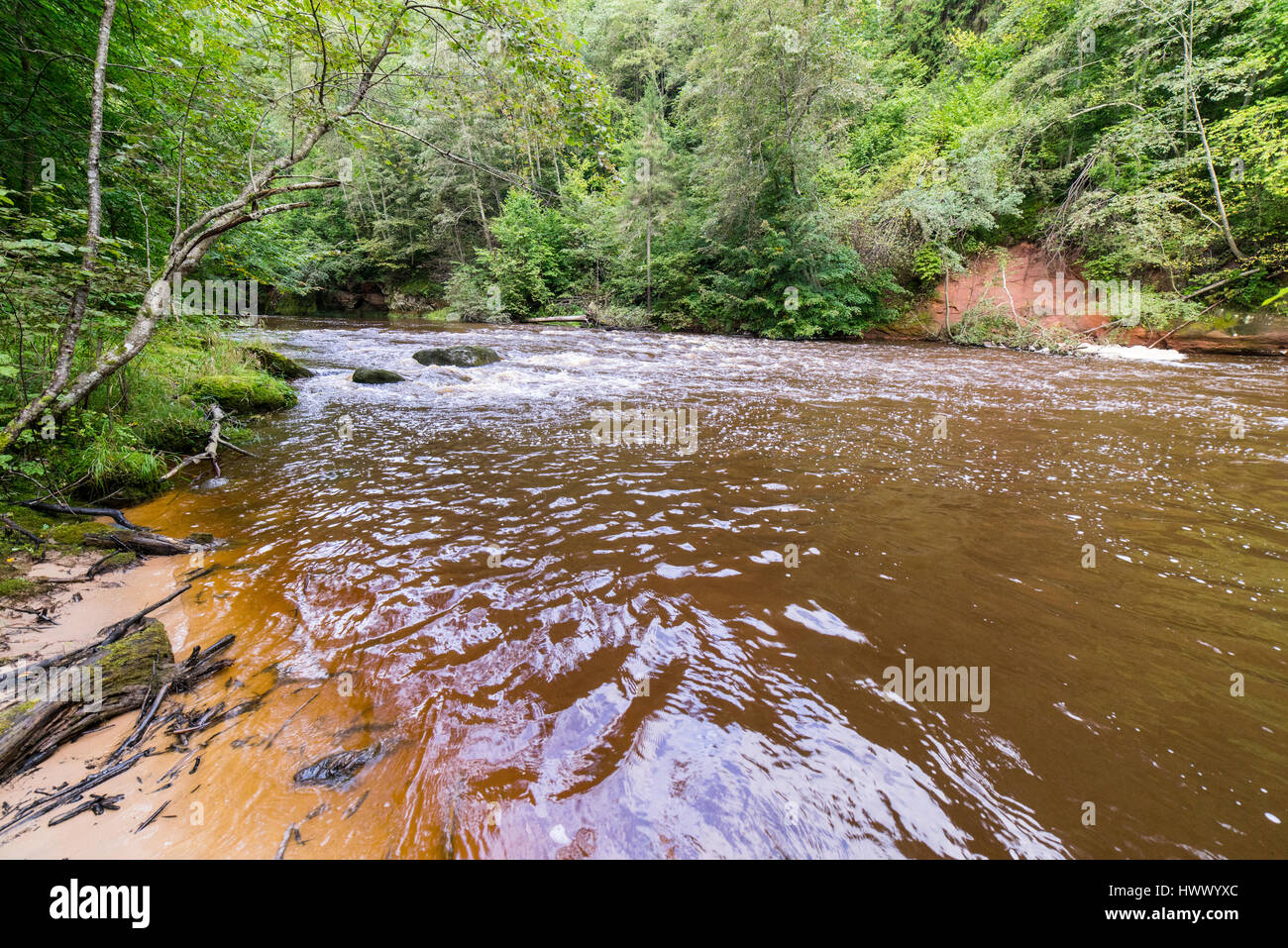 Mountain river with Flowing Water Stream and sandstone cliffs Stock ...