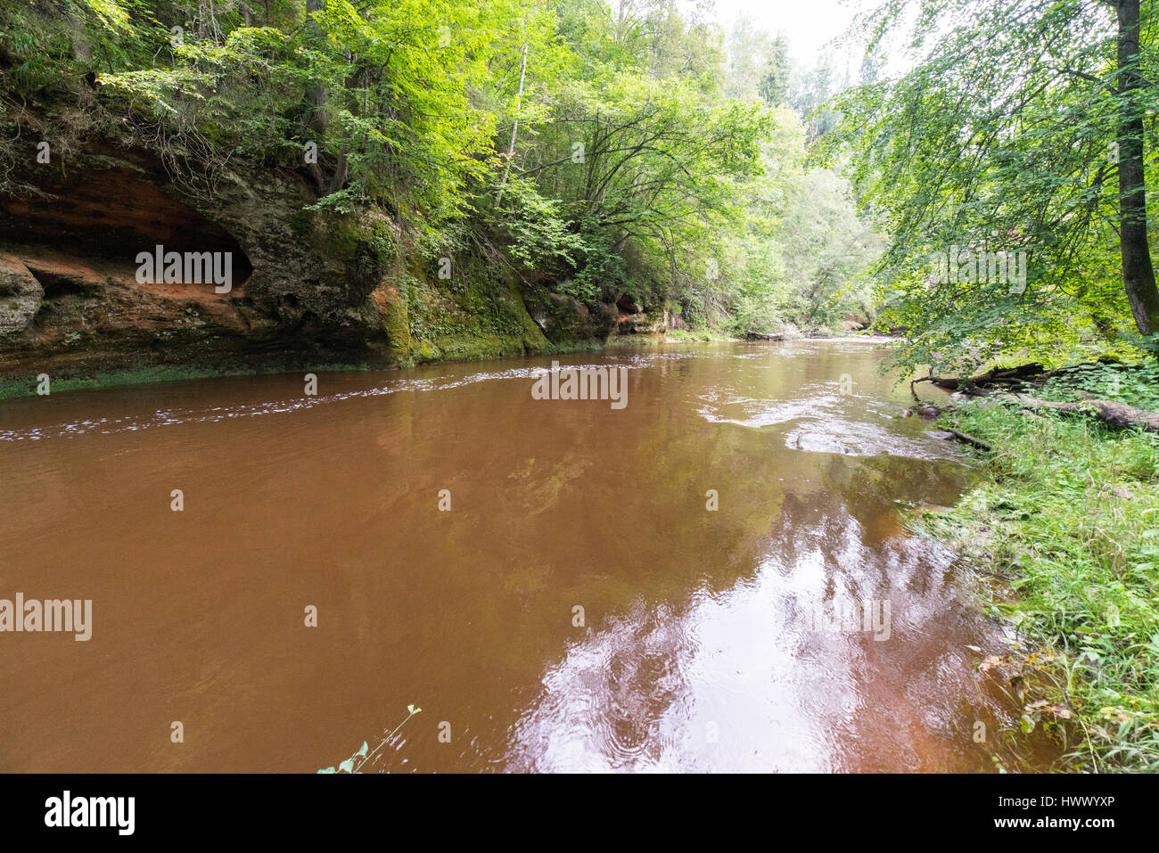 Mountain river with Flowing Water Stream and sandstone cliffs Stock ...