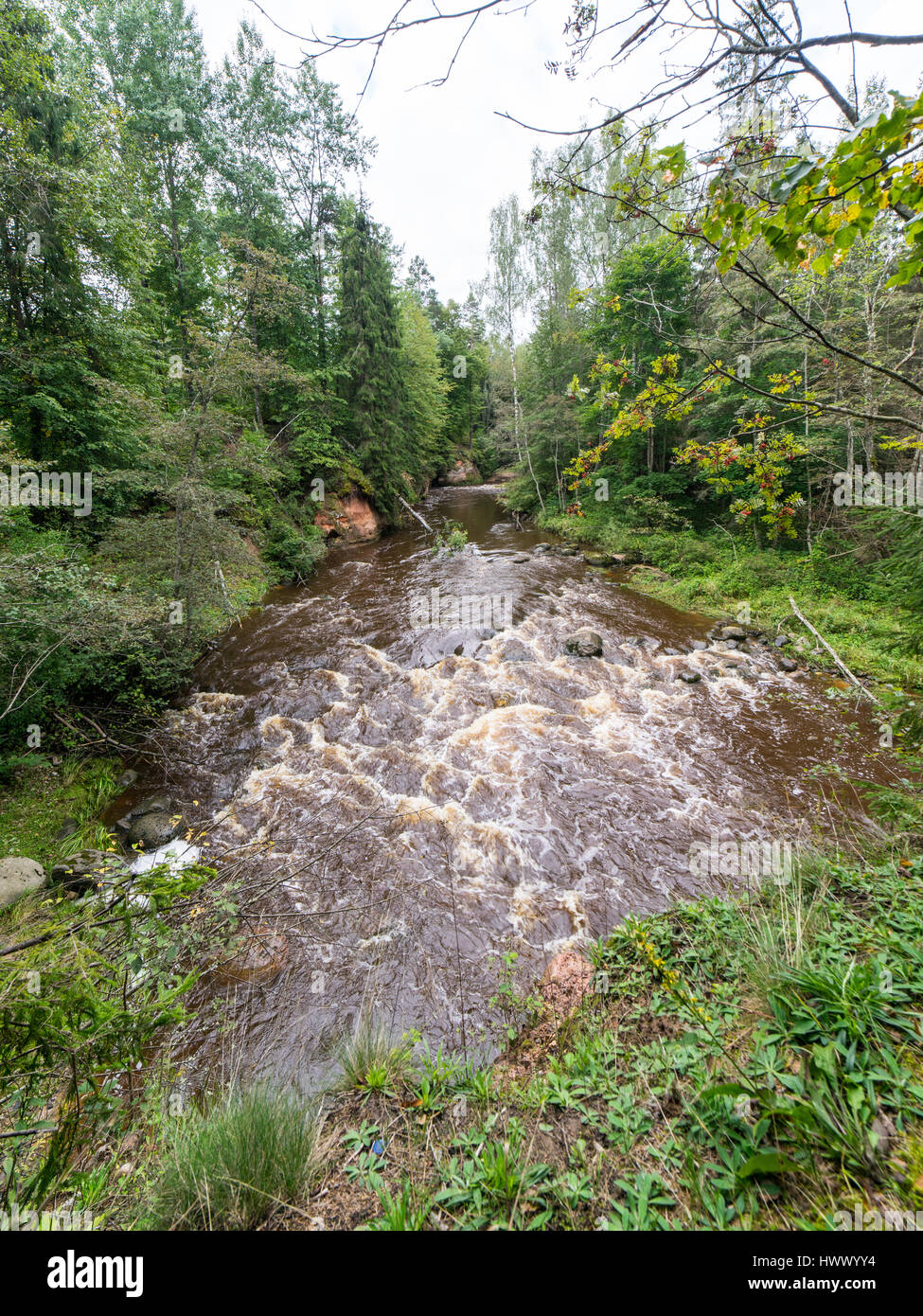 Mountain river with Flowing Water Stream and sandstone cliffs Stock ...