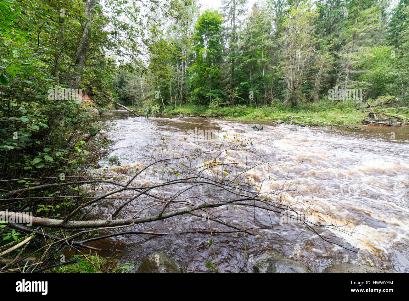 Mountain river with Flowing Water Stream and sandstone cliffs Stock ...