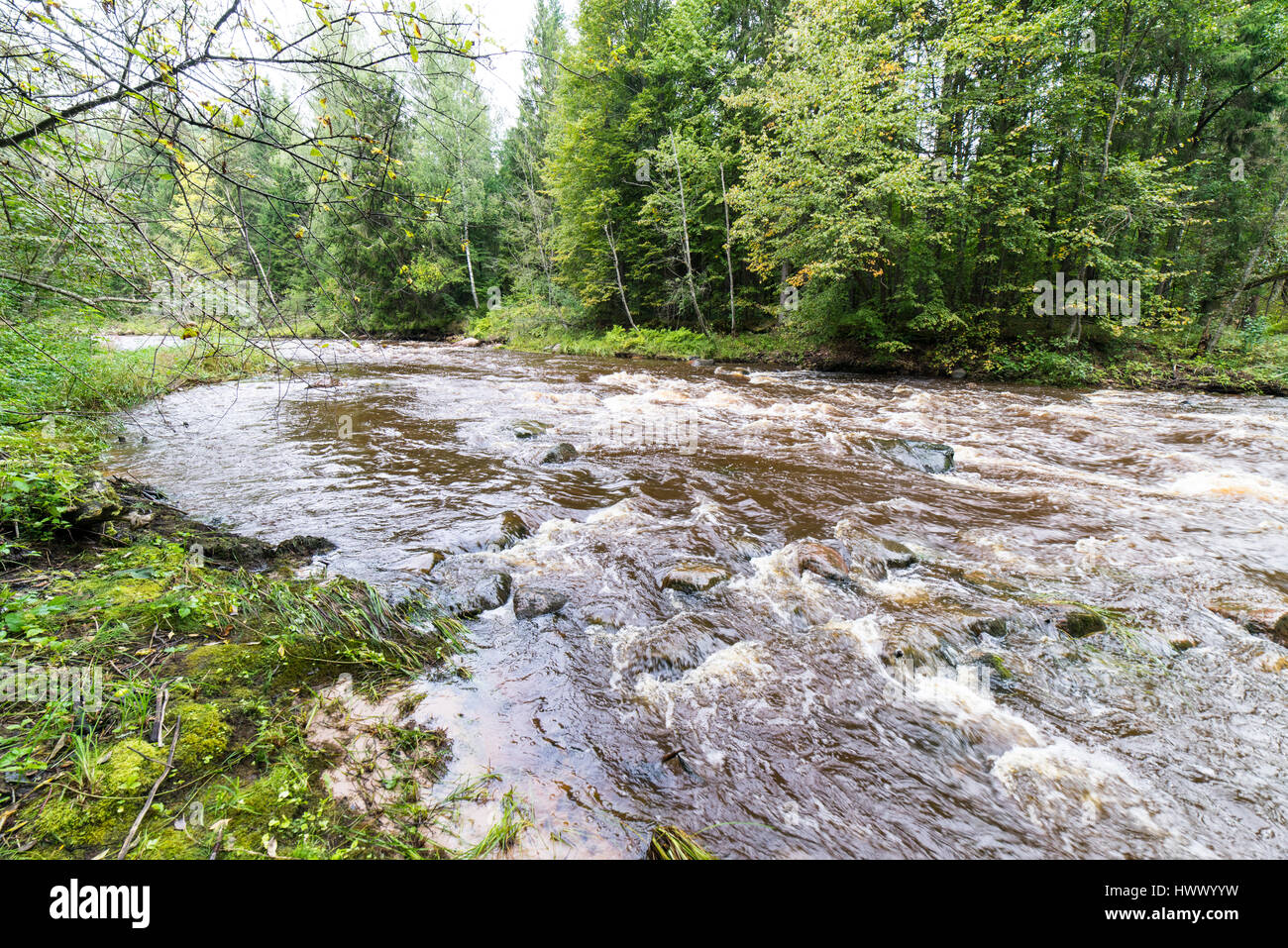 Mountain river with Flowing Water Stream and sandstone cliffs Stock ...