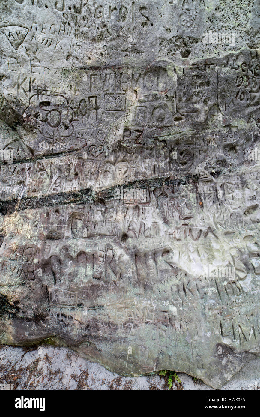 ancient sandstone cliffs with inscriptions in the Gaujas National Park ...