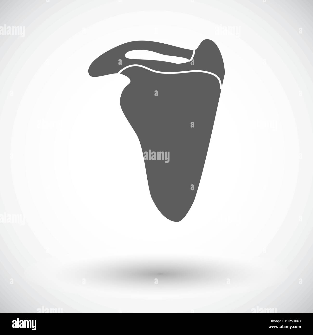 Scapula. Single flat icon on white background. Vector illustration ...