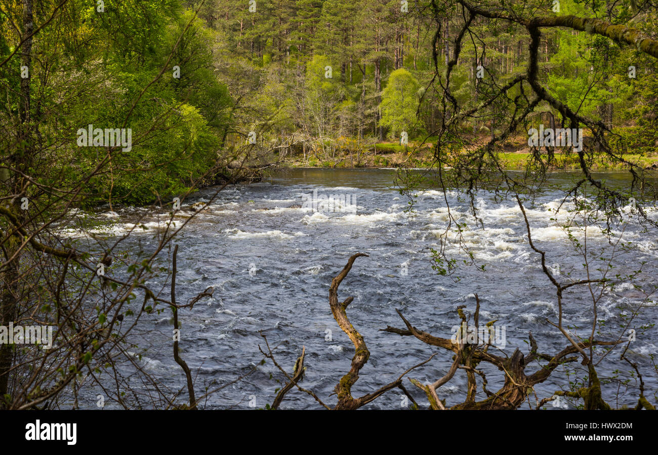 River oich hi-res stock photography and images - Alamy
