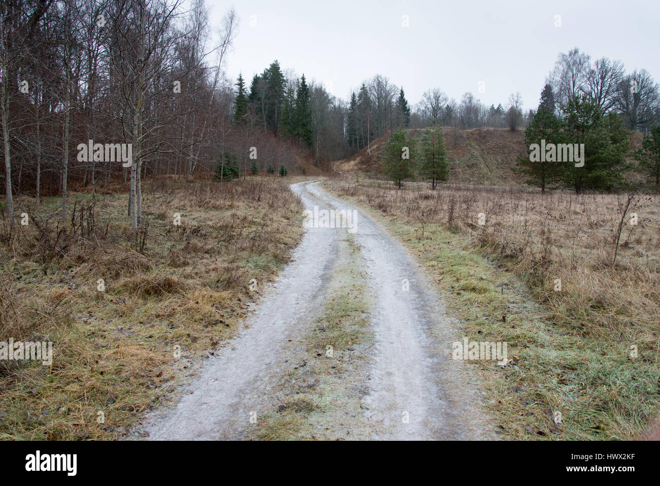 icy rural landscape with trees and land in countryside Stock Photo - Alamy