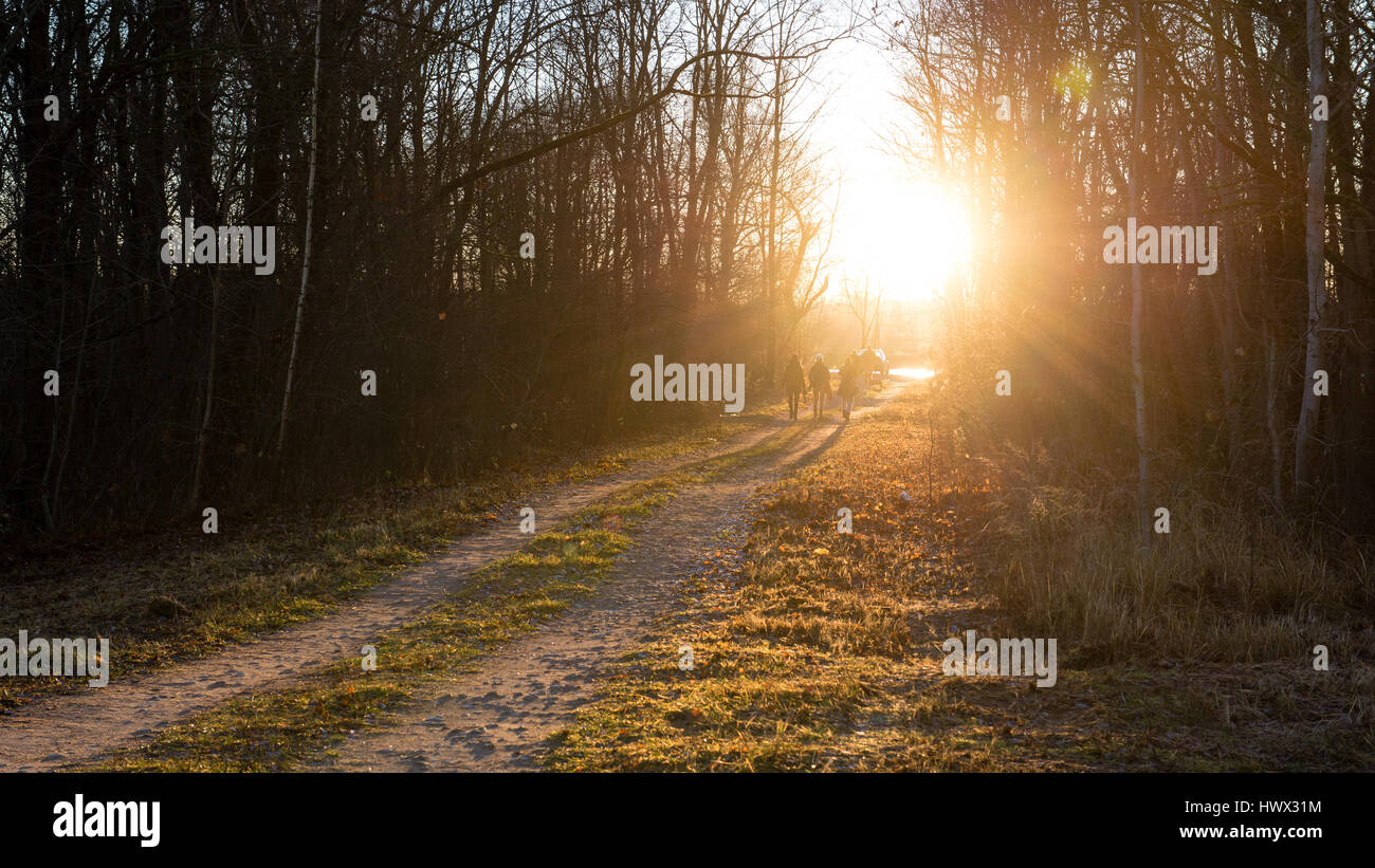 PEOPLE WALKING ON the road in the countryside with trees in surrounding ...