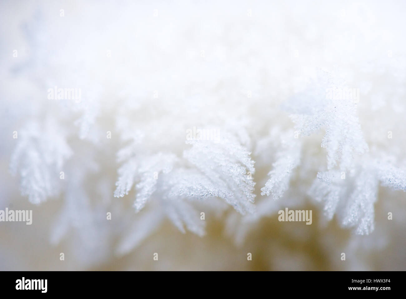snowflake and ice crystal closeup shot Stock Photo - Alamy