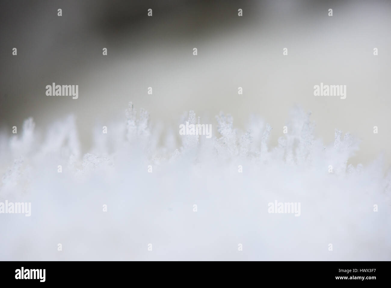 snowflake and ice crystal closeup shot Stock Photo - Alamy