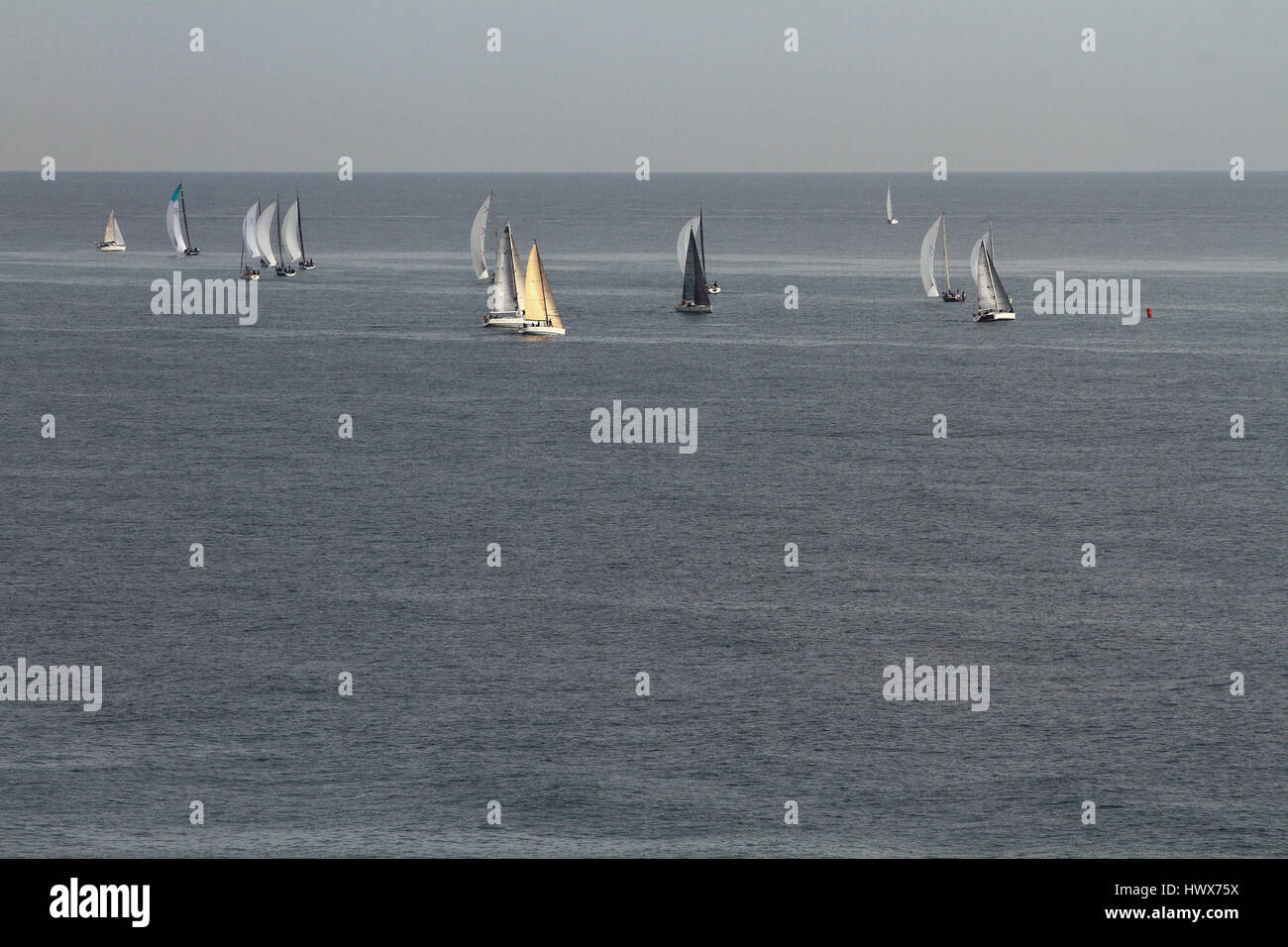 Sailing regatta in sea Stock Photo - Alamy