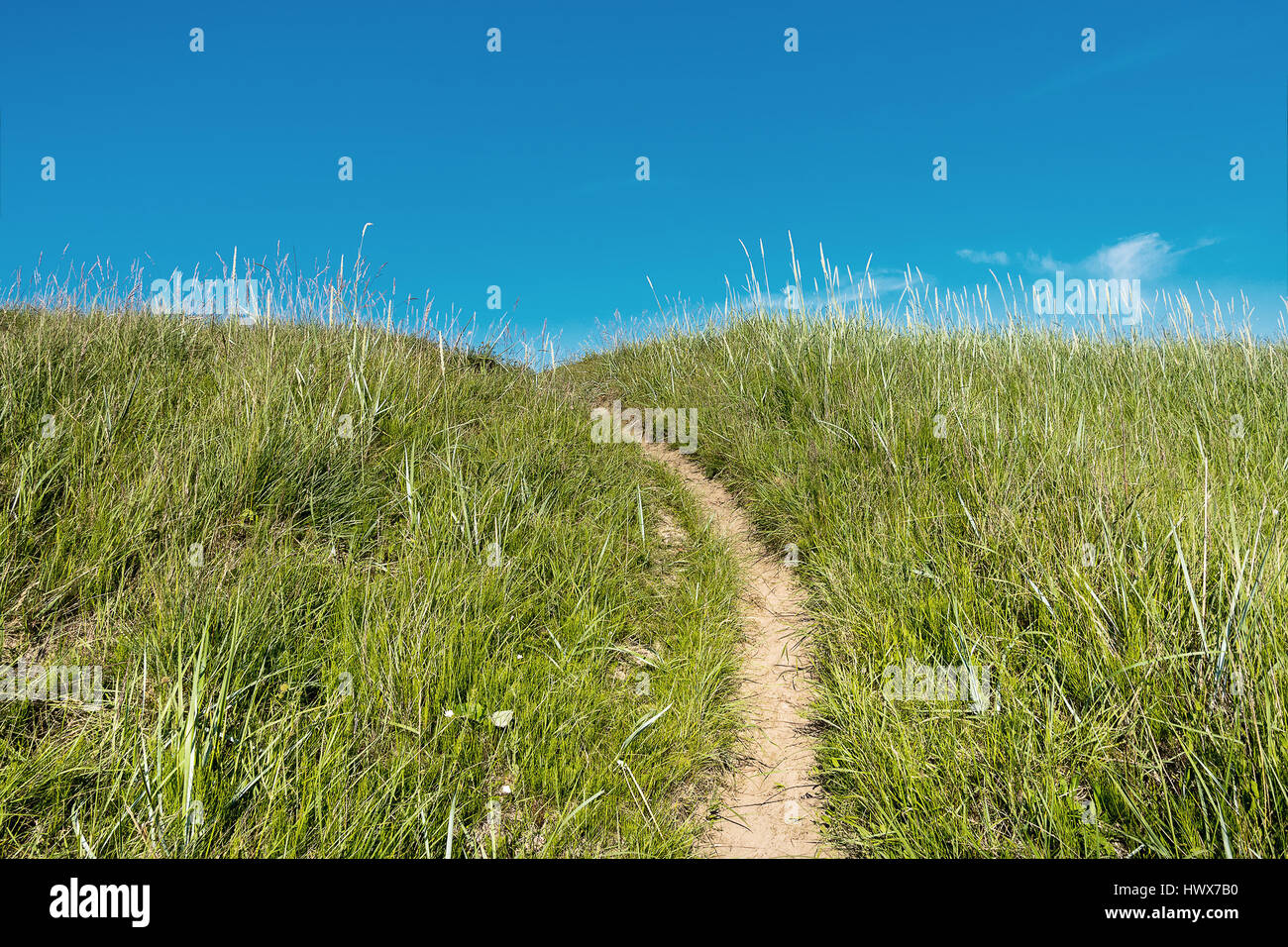 Path in grass Stock Photo - Alamy