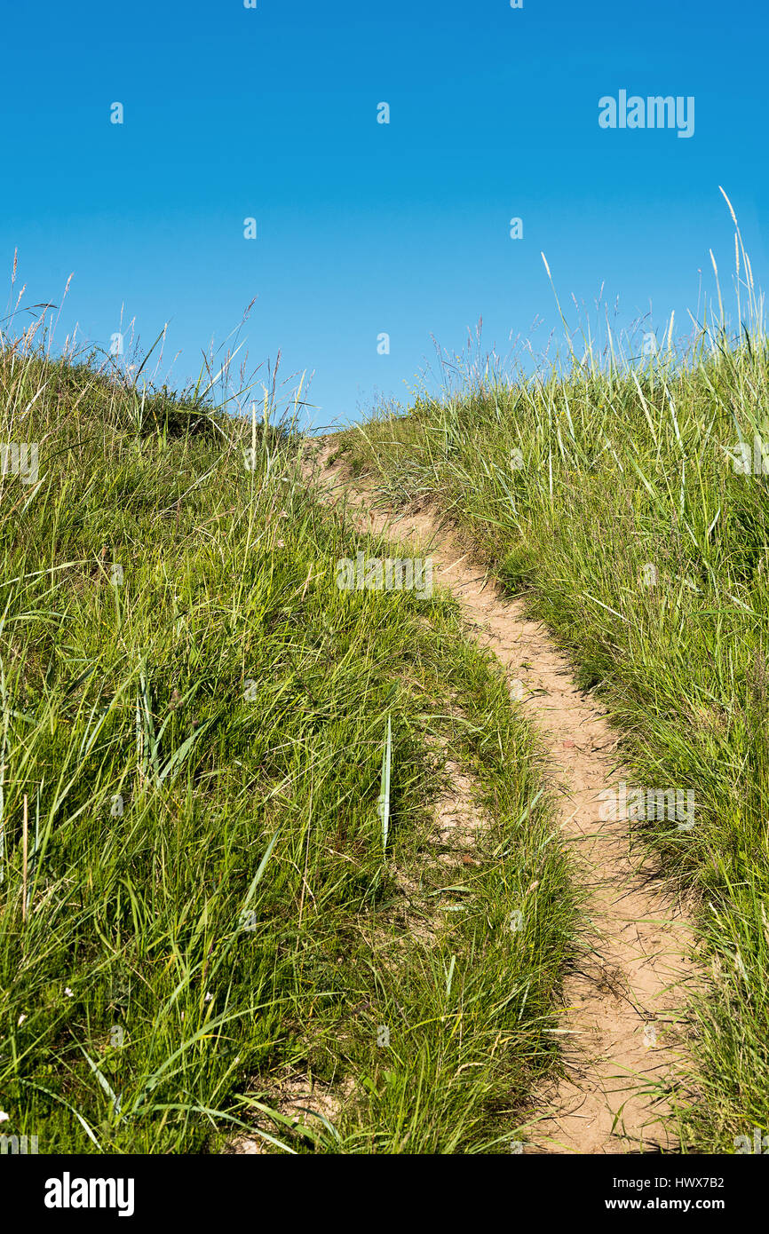 Grass dirt path blue sky hi-res stock photography and images - Alamy