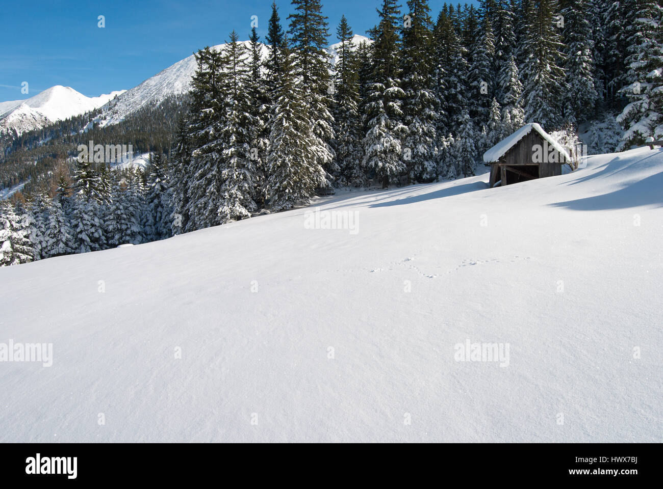 Christmas alpine winter scene hi-res stock photography and images - Alamy