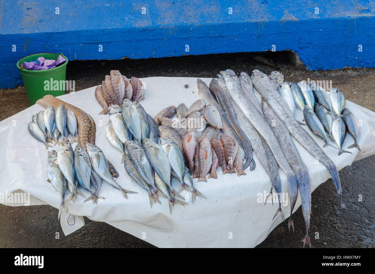 Pile fresh fishes fish market hi-res stock photography and images - Alamy