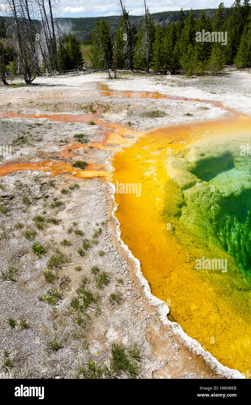 geyser and lakes in Yellowstone national Park Stock Photo - Alamy