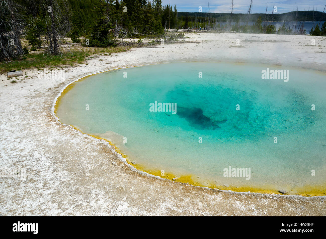 geyser and lakes in Yellowstone national Park Stock Photo - Alamy