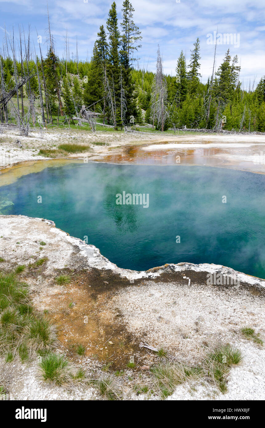 geyser and lakes in Yellowstone national Park Stock Photo - Alamy