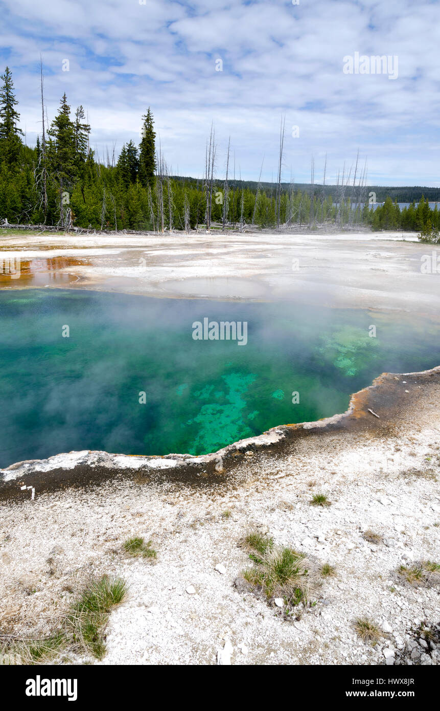 geyser and lakes in Yellowstone national Park Stock Photo - Alamy