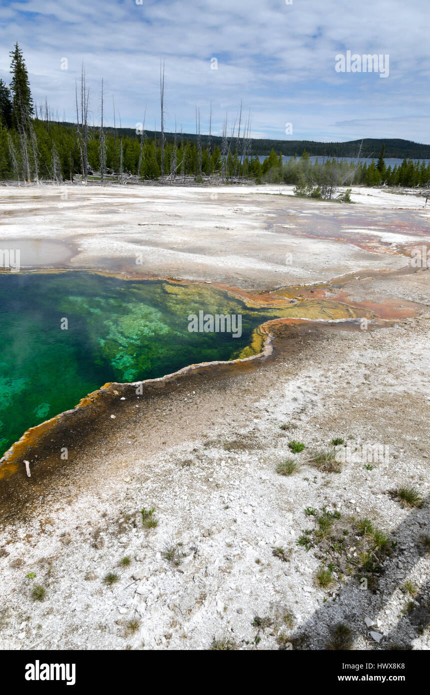 geyser and lakes in Yellowstone national Park Stock Photo - Alamy
