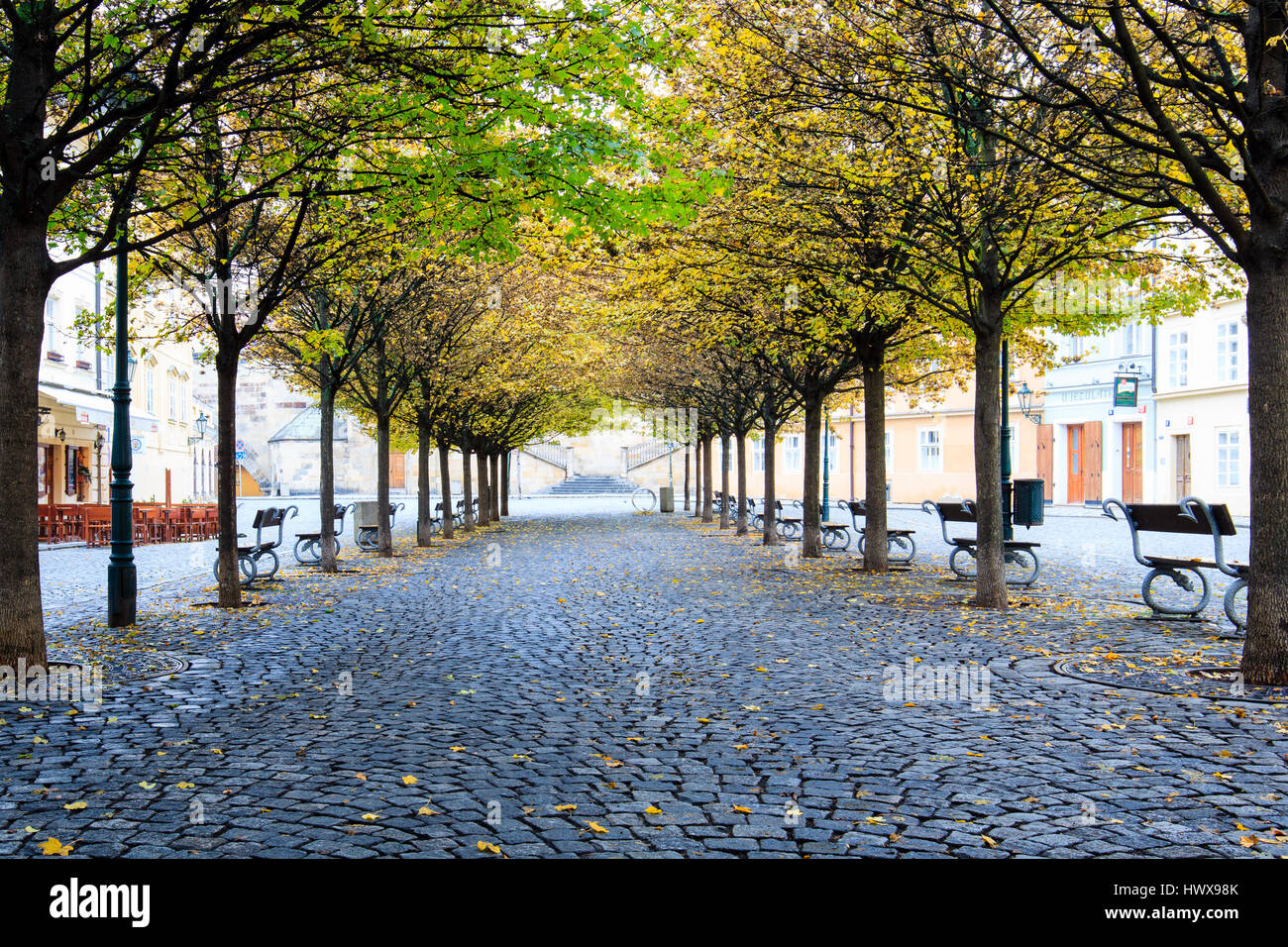 Alley of trees boulevard in a center of Prague, Czechia Stock Photo - Alamy