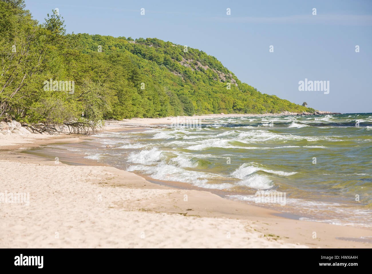 Empty white sand beach in the summer, Stenshuvud National Park, near ...